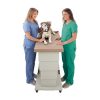 Olympic Elite Exam Lift Table™ - Olympic Veterinary